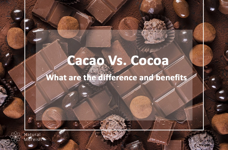Differences and Benefits of Cacao and Cocoa