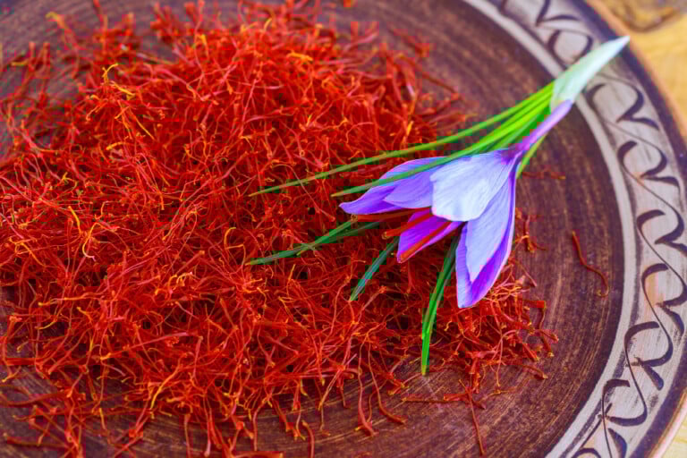 Saffron, The Golden Spice: History, Benefits and Uses